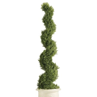 Cypress Spiral Topiary | Frontgate