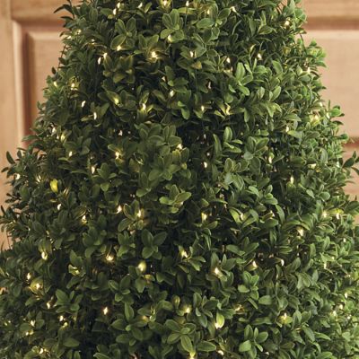 3D LED 36" Lighted Tree | Frontgate